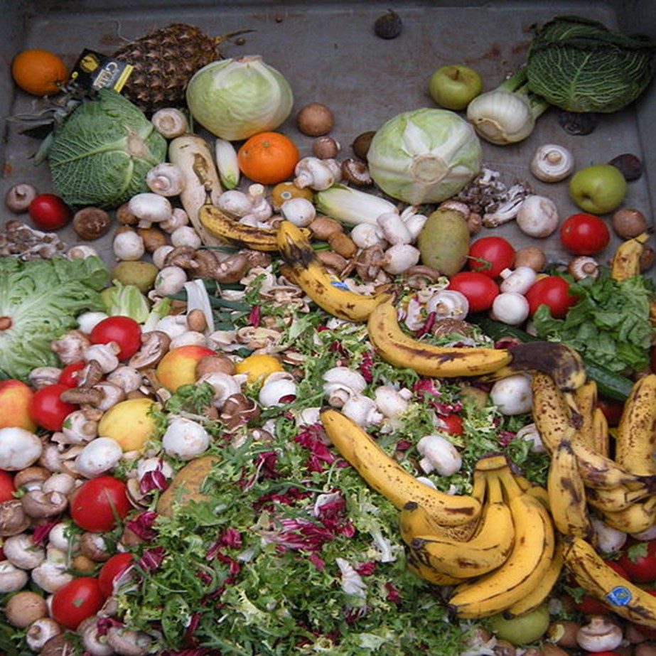 Whitman Provides Reliable Organic Recycling Services! - Whitman ... Whitman Provides Reliable Organic Recycling Services! - Whitman ...