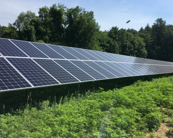 Large Scale Ground Mount Solar Design - SC - Whitman | Environmental ...